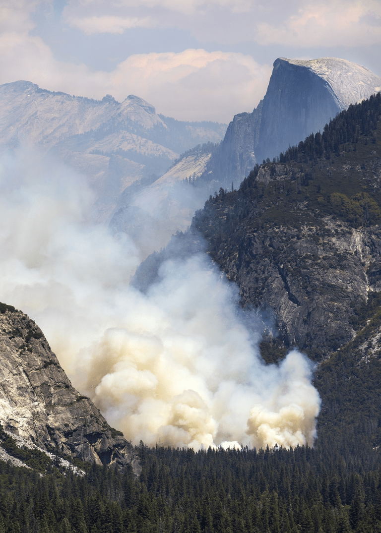 Art professor receives international recognition for ‘Controlled Burn ...