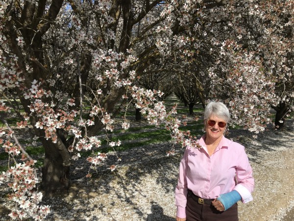 Remembering Professor Emerita June Marian Gill – The College of Arts ...